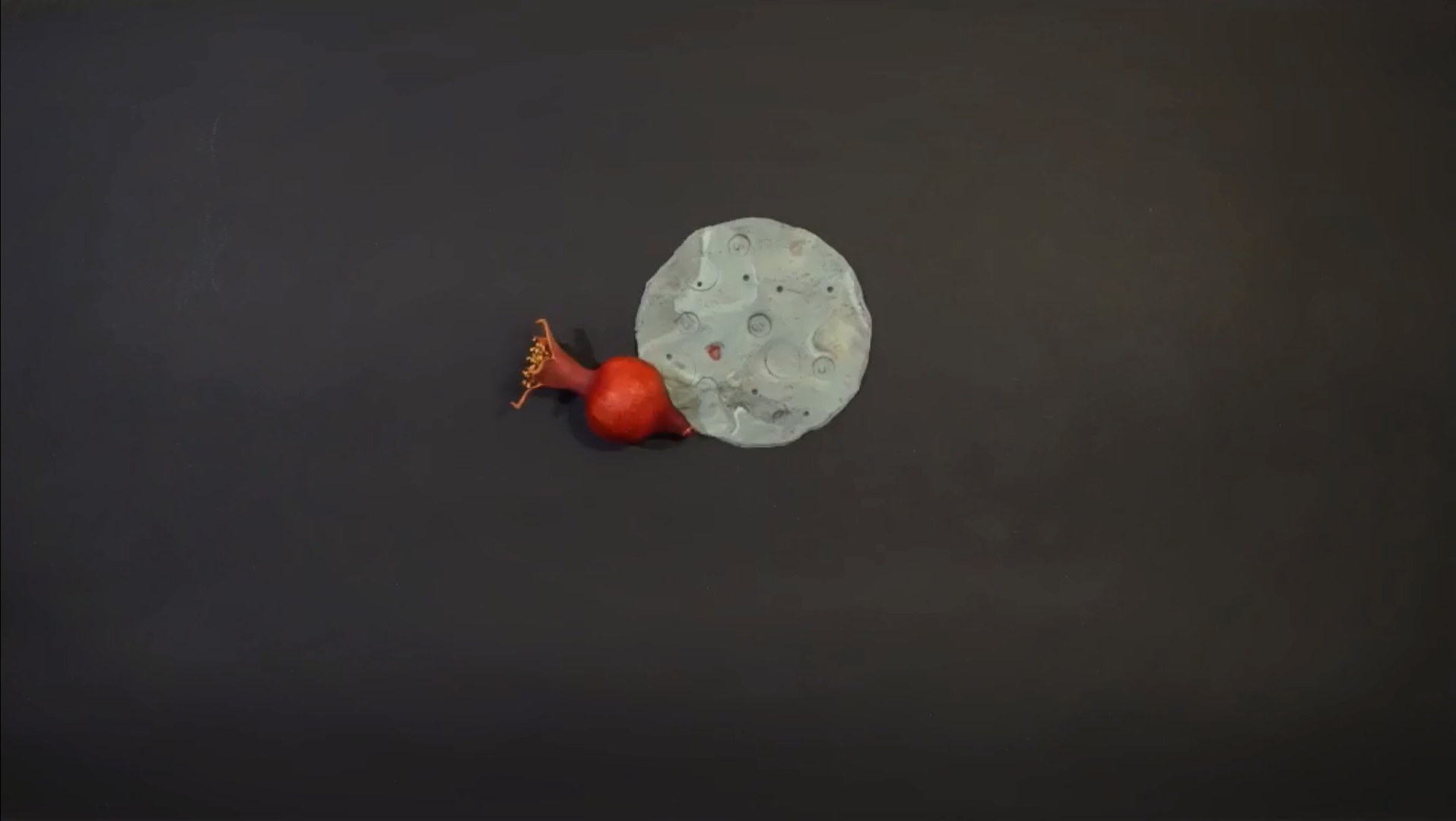 Stop-Motion – Sara Moezi